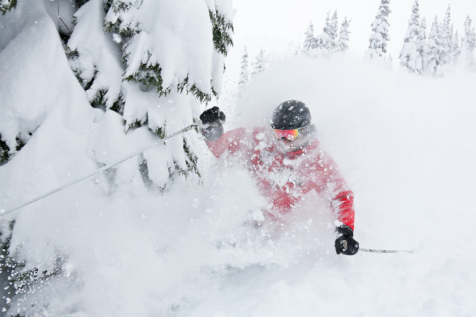 The Mt. Hood Fusion Pass | Timberline Lodge + Mt. Hood SkibowlMt. Hood ...